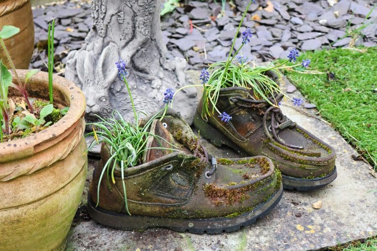 Haythorne Place - Roseberry Care Centres